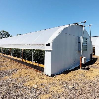 China Light Deprivation Greenhouse Stable Structure for Commercial Farming for sale