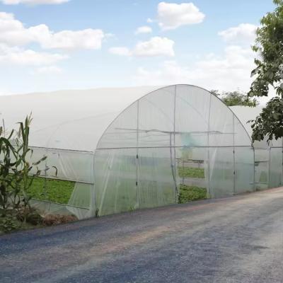 Cina Tenda di serra a basso costo con pellicola di plastica in PE resistente agli UV a una sola fascia in vendita