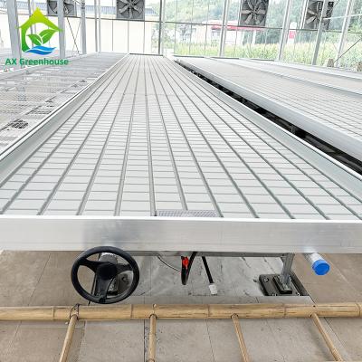 China Agricultural Hydroponic Movable Grow Table Greenhouse Rolling Benches For Flower for sale