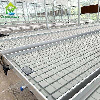 China Greenhouse Rolling Bench Hydroponic Ebb And Flow Table Grow Trays for sale