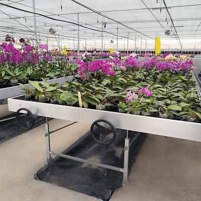 China Durable Hydroponic Greenhouse Ebb Flow Tray Seedbed Grow Table Rolling Bench for sale