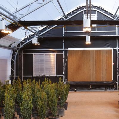 China Light Deprivation Greenhouse Stable Structure for Commercial Farming for sale