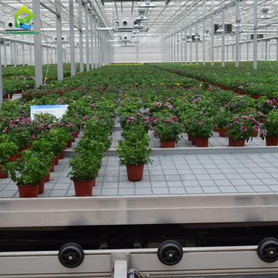 China Greenhouse Rolling Bench Hydroponic Ebb And Flow Table Grow Trays for sale