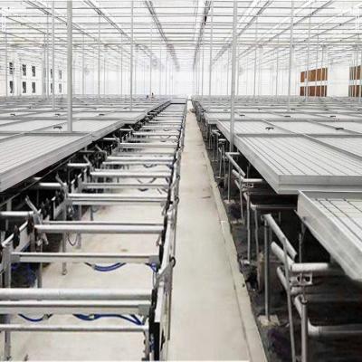 China Greenhouse Rolling Bench Hydroponic Ebb And Flow Table Grow Trays for sale