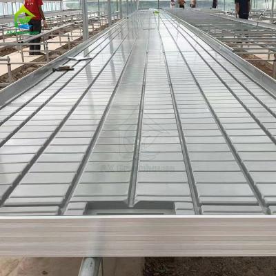 China Greenhouse Rolling Bench Hydroponic Ebb And Flow Table Grow Trays for sale