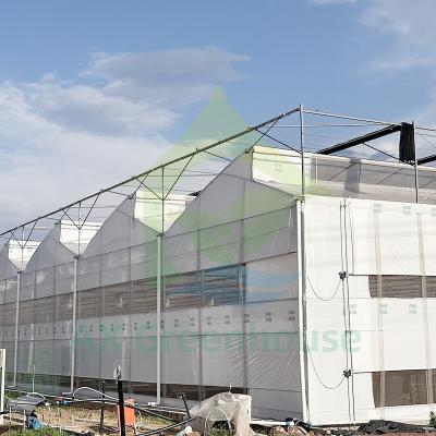 Agricultural Plastic Film Customized Multi-span Greenhouse With Shade Net