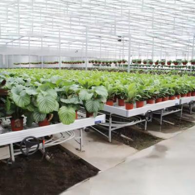 China Ebb Flow Nursery Movable Abs Flood Rolling Bench Grow Table for sale