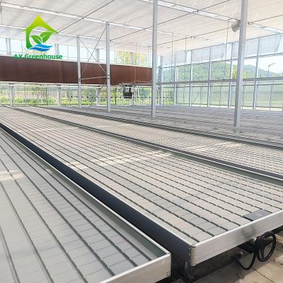 China Durable Hydroponic Greenhouse Ebb Flow Tray Seedbed Grow Table Rolling Bench for sale