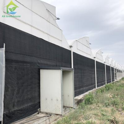 China Nursery Custom 100% Blackout Light Deprivation Agricultural Mushroom Greenhouse For Sale for sale