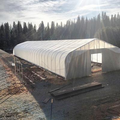 중국 큰 터널 전력 차단 다중 하우스 빛 부족 농업 온실 판매용