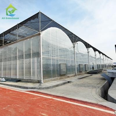 China Multi Span Plastic PE Film Agricultural Polytunnel Tomato Strawberry Greenhouse for sale