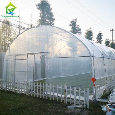 Cina Tenda di serra a basso costo con pellicola di plastica in PE resistente agli UV a una sola fascia in vendita
