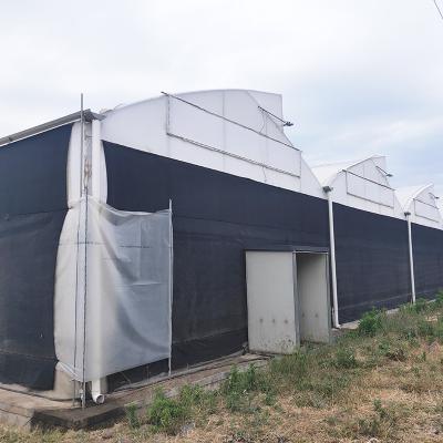 중국 지속 가능한 빛 부족 블랙아웃 다발간 농업 플라스틱 필름 온실 판매용