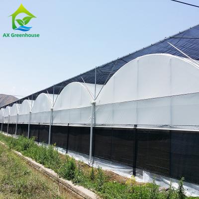 China Commercial Multi-span Polytunnel Light Deprivation Greenhouse With Shade Net for sale