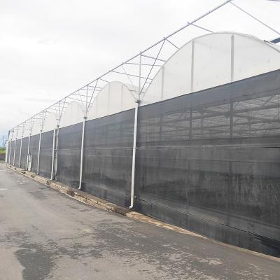 China Commercial Multi-span Polytunnel Light Deprivation Greenhouse With Shade Net for sale