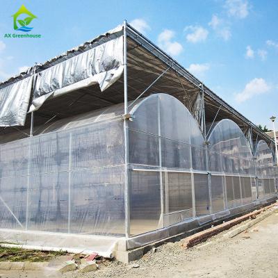 China Agricultural Plastic Film Customized Multi-span Greenhouse With Shade Net for sale