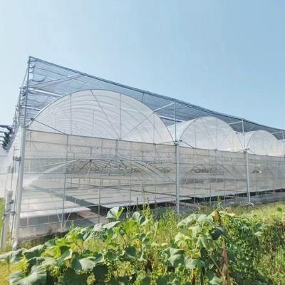 China Multi-span Agricultural Poly Tunnel Greenhouse With UV Resistant Plastic for sale
