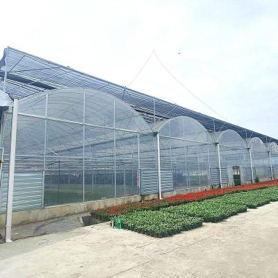 China Multi-span Agricultural Poly Tunnel Greenhouse With UV Resistant Plastic for sale