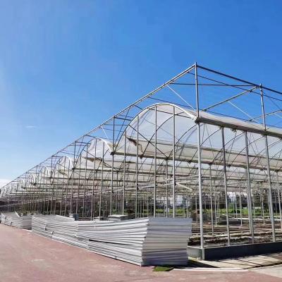 China Multi-span Agricultural Poly Tunnel Greenhouse With UV Resistant Plastic for sale