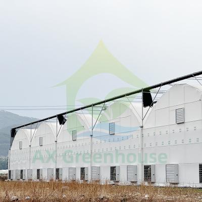China Multi-span Agricultural Poly Tunnel Plastic Greenhouse with Steel Tructure and Irragation System for sale