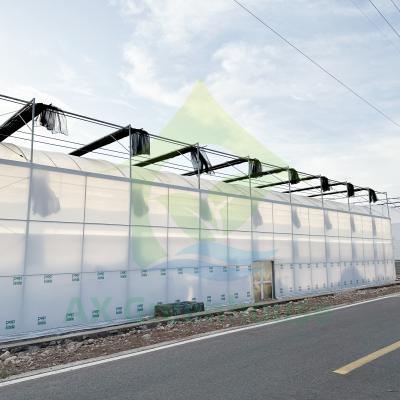 China Poly Tunnel Greenhouse for Vegetables Stable Structure Easily Assembled for sale
