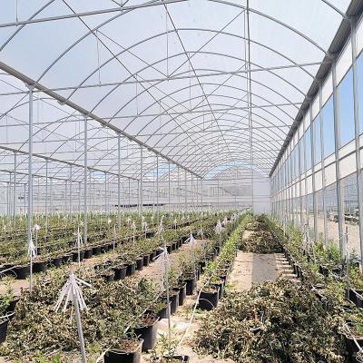 China Steel Tructure Agricultural Poly Tunnel Black Shading Multi-span Greenhouse with Optional Cooling System for sale
