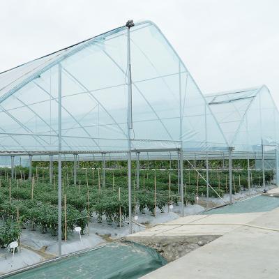 China Outdoor Plastic Film Poly Tunnel Agricultural Seeding Greenhouse For Sale factory