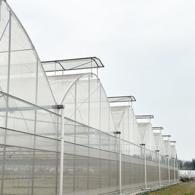 China 30*10m Poly Tunnel Galvanized Frame Multi-span Agricultural Greenhouse For Tomato for sale
