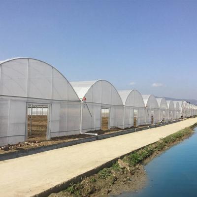 China 30*10m Poly Tunnel Galvanized Frame Multi-span Agricultural Greenhouse For Tomato for sale