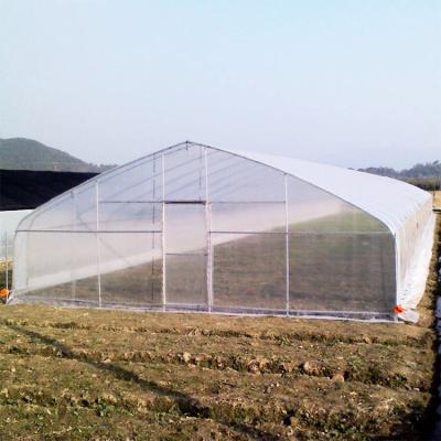 China Modern Farming Single-span Plastic PE Film Poly Tunnel Tomato Greenhouse for sale