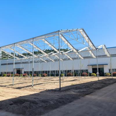 중국 상업용 대형 터널 자동화 후집 지붕 플라스틱 필름 채소 온실 판매용