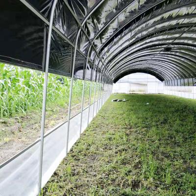 중국 자동 그림자 시스템으로 맞춤 블랙아웃 빛 박탈 온실 판매용