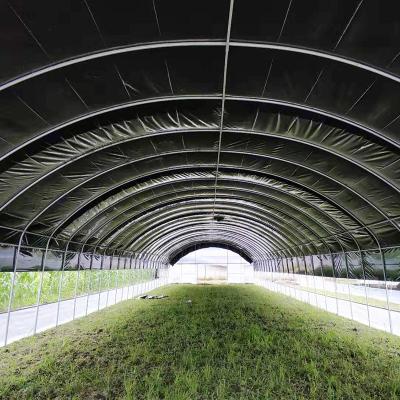 중국 자동 그림자 시스템으로 맞춤 블랙아웃 빛 박탈 온실 판매용