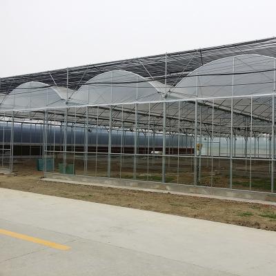 China Horticultural Poly Tunnel Film Multi-span Agricultural Greenhouse With Shading System for sale