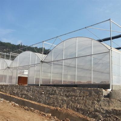 China Durable Agricultural Large Tunnel Multi-span Arched Poly Tunnel Greenhouse for sale