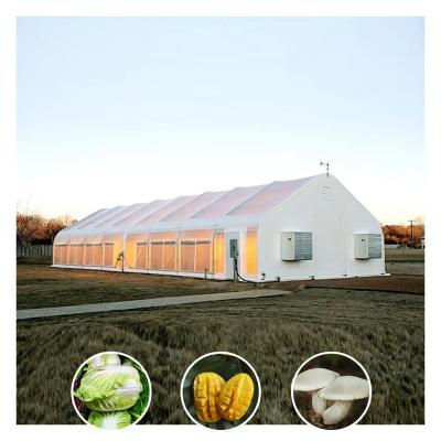 China Scalable Light Deprivation Solutions For Commercial Mushroom Growers for sale