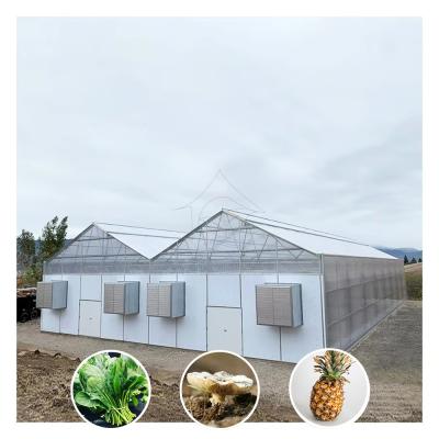 중국 자동 농업 블랙아웃 폴리카보네이트 빛 부족 온실 판매용