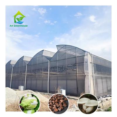 중국 빛 부족 온실에서 극한 날씨에 저항하기 위해 내구성 있는 폴리카보네이트 건설 판매용