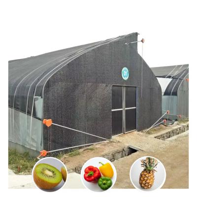 중국 최적의 성장을 위한 기후 관리 빛 부족 온실의 환기 냉각 판매용