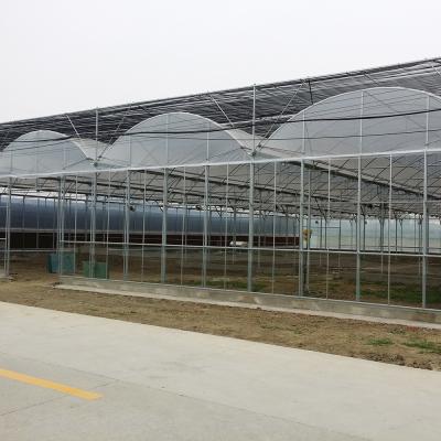 Cina Serra per orticoltura con pellicola di plastica resistente ai raggi UV in vendita