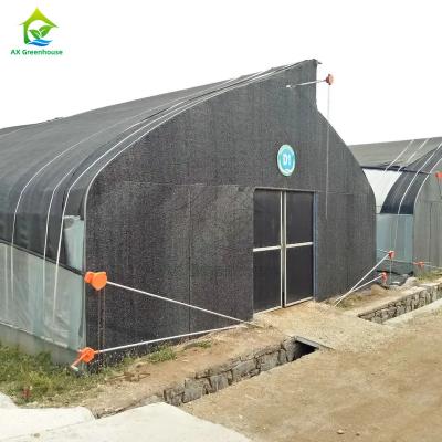 China Sawtooth single-span film shade net blackout greenhouse for growing mushrooms for sale