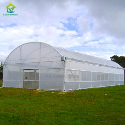 China 30 X 100 Tropical Climate Greenhouse Film Greenhouse House Complete Kit Single Span Greenhouse for sale