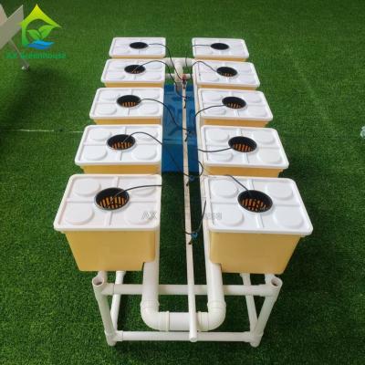 중국 토양 없는 재배 수식품 바토 냄비 네덜란드 방울 심기 세트 판매용