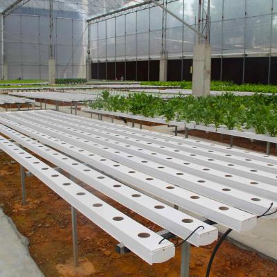 China Food-Grade PVC NFT Hydroponic Gully System with UV Inhibitors and Customizable Dimensions for Commercial Greenhouses for sale