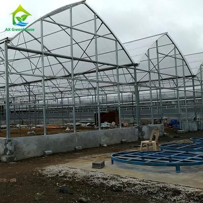 China 1.2g/Cm2 Anti Snow Greenhouse Polycarbonate Sheets 6mm Twin Wall Polycarbonate Panels for sale