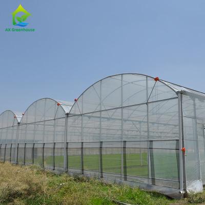 Cina Serra resistente UV del film plastico in vendita