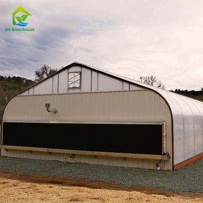 China ODM Auto Light Deprivation Greenhouse 6m-12m Width Polycarbonate Sheet Greenhouse for sale