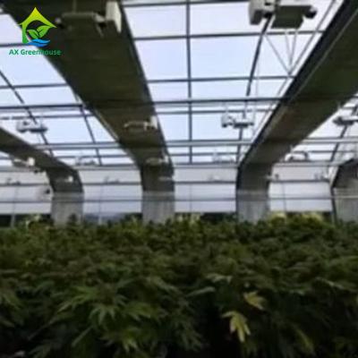 China Multispan 28m-50m Length Light Deprivation Greenhouse With Blackout System for sale