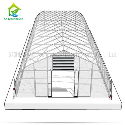 China きのこの耕作のための農業のHydroponic単一のスパンの温室 for sale