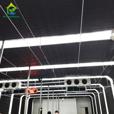 Cina Serra del tunnel di Caterpillar di lunghezza di Dep Green House 70m della luce di blackout delle verdure in vendita